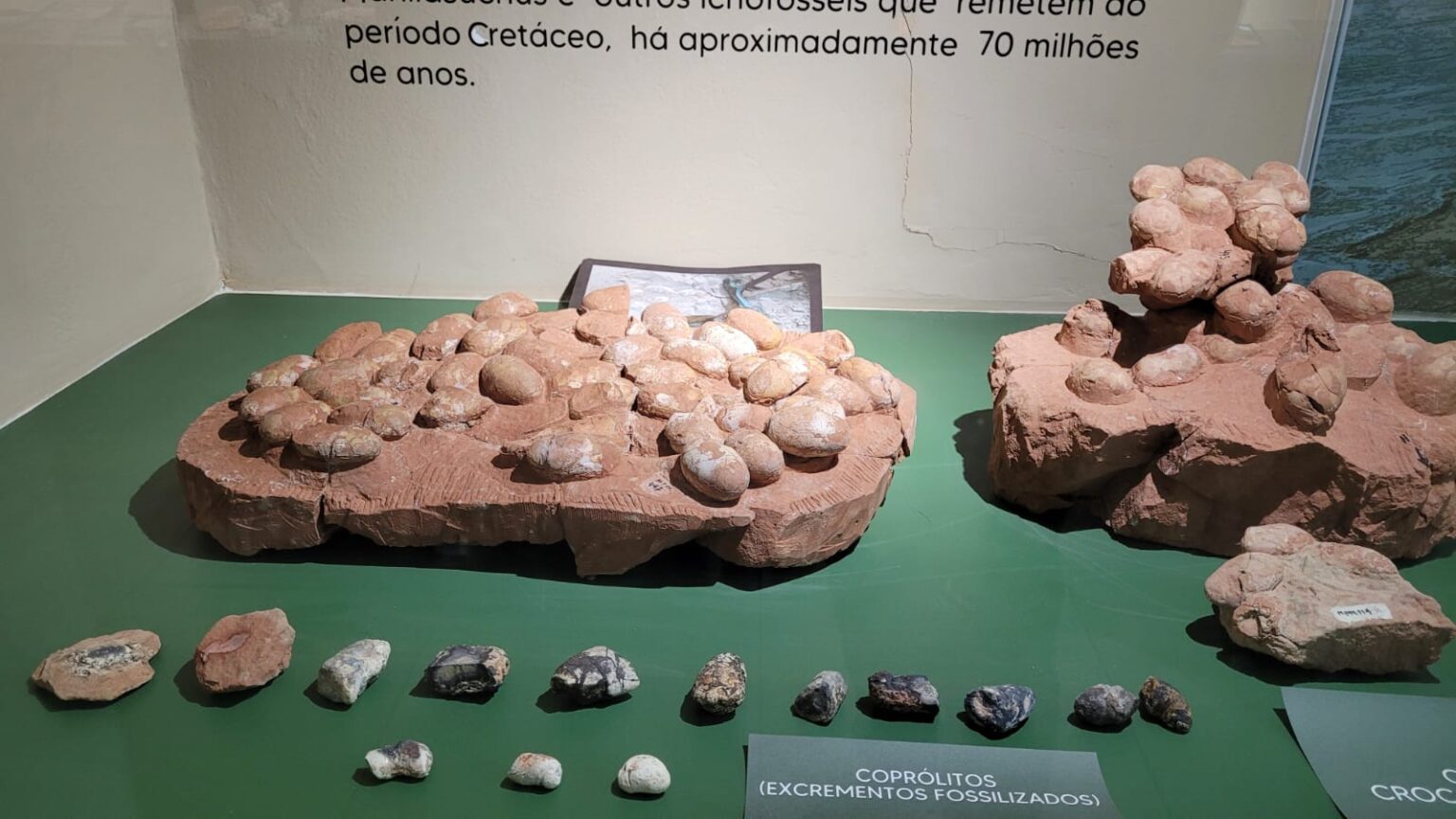 'Uma pedra que achei no meio do mato virou isso', lembra o paleontólogo ...